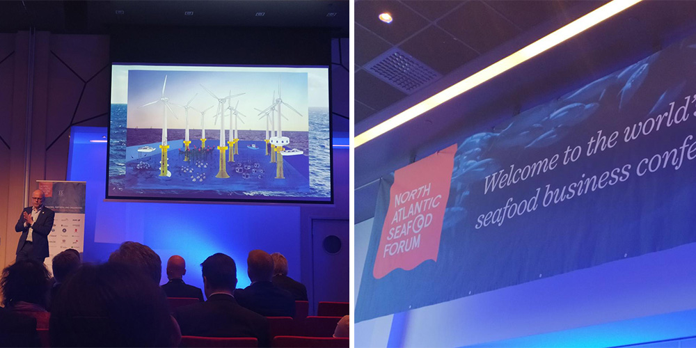 NASF : le rendez-vous professionnel des acteurs de la filière en ...