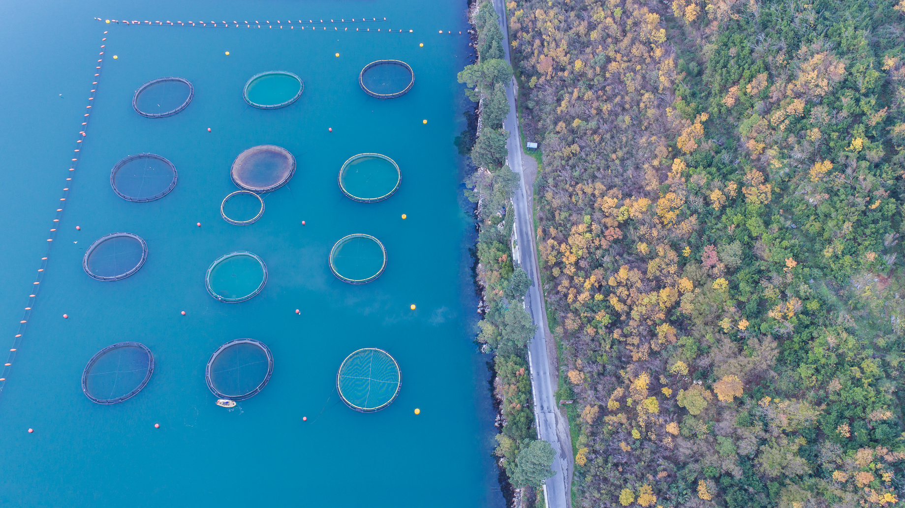 A look back at the "Digitalisation in aquaculture" Forum (EATIP) - Aquimer