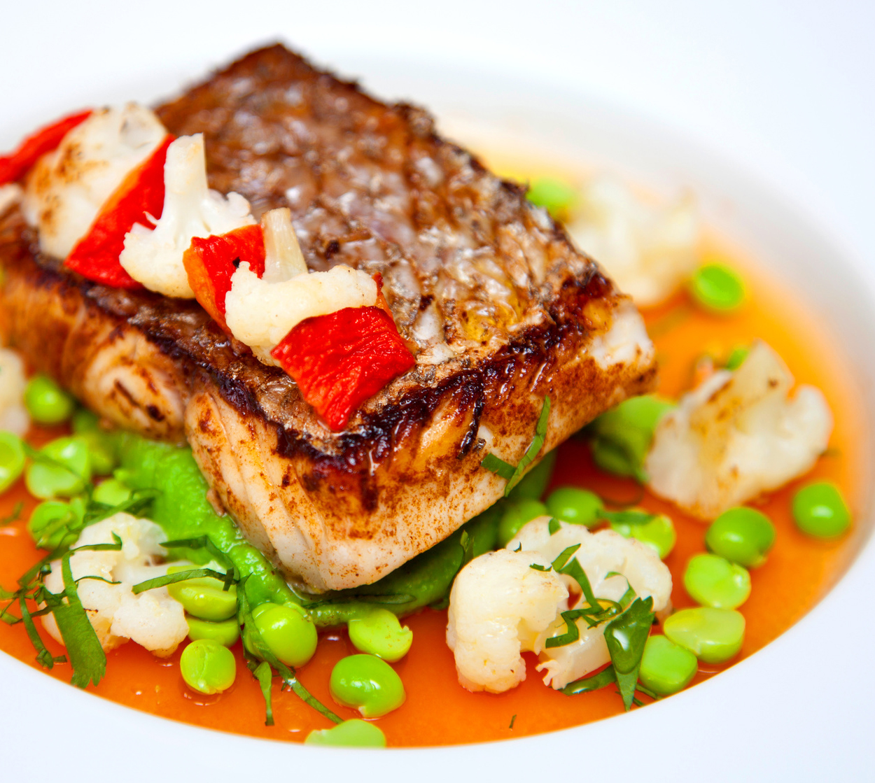 OPEN FOOD SYSTEM - Aquimer