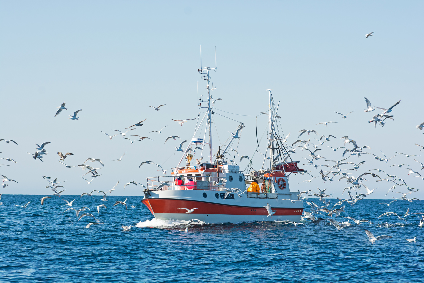 France Pélagique : Félicitations pour l’obtention de l’écolabel « Pêche ...